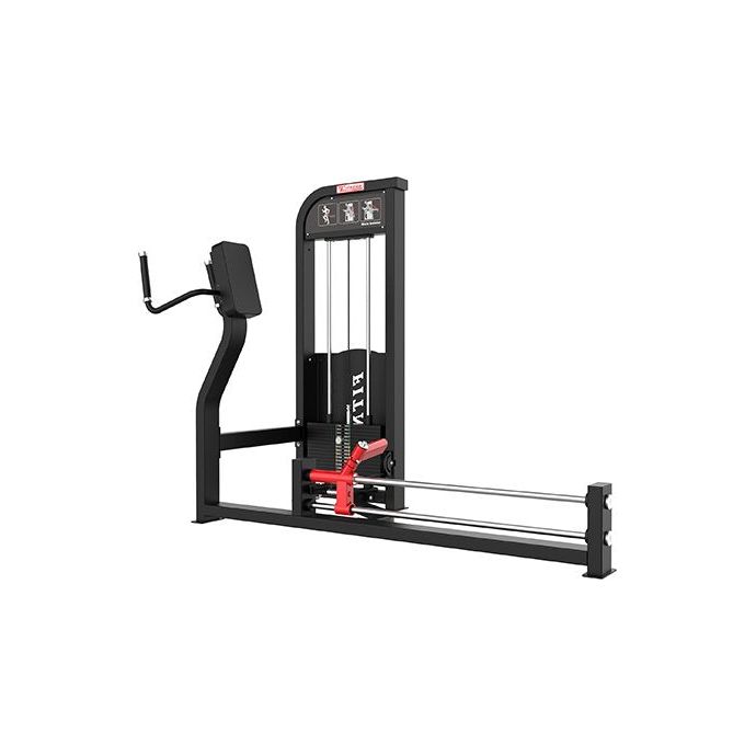 SFE Commercial Selectorized Glute Machine with 250lb Weight Stacks (New ...