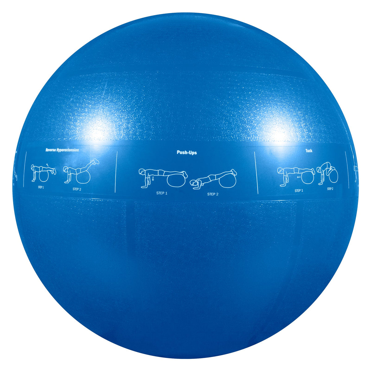 Guide Ball - Pro Grade Stability Ball | Sweatfully