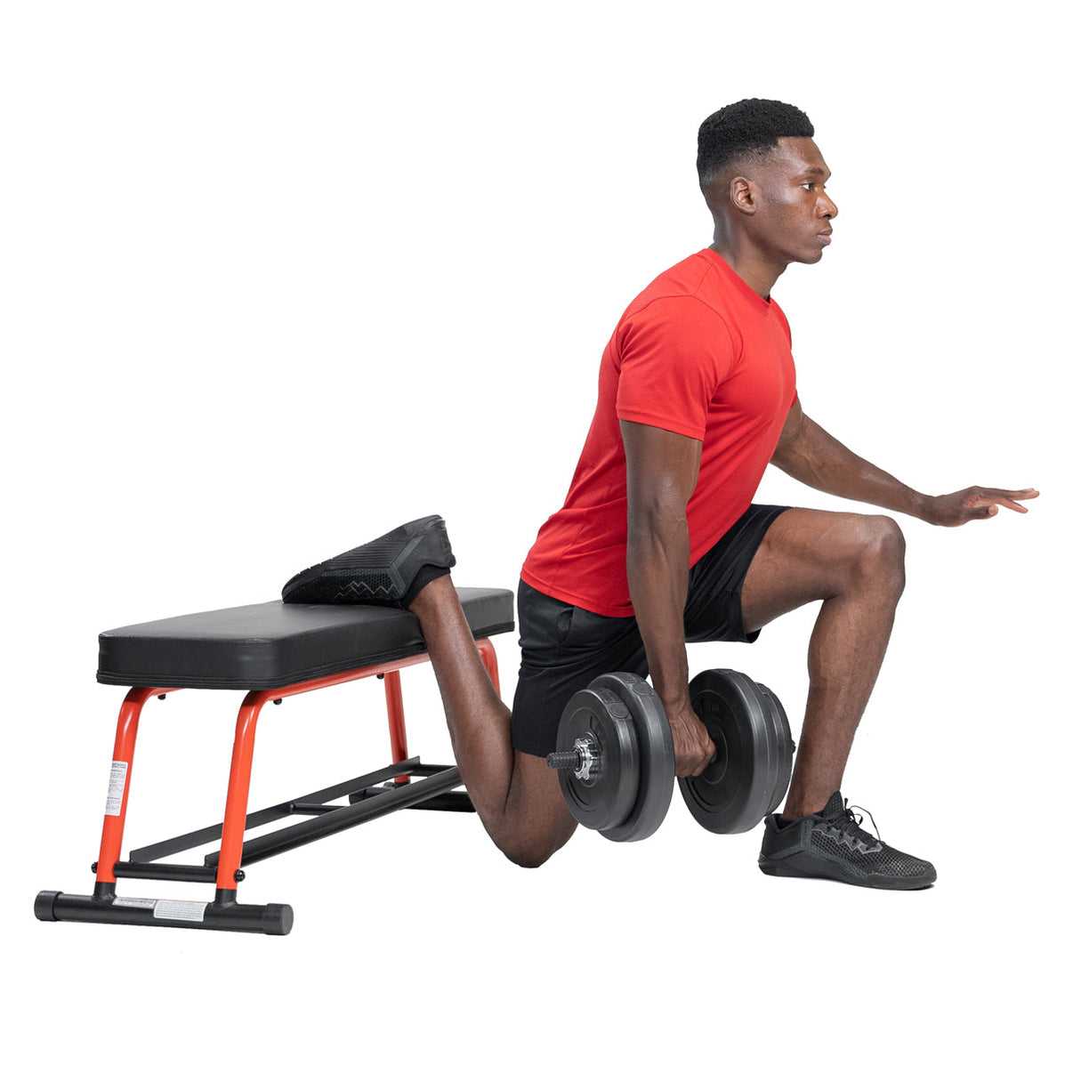 Sunny Health & Fitness Power Zone Strength Flat Bench with 550 LB Max ...